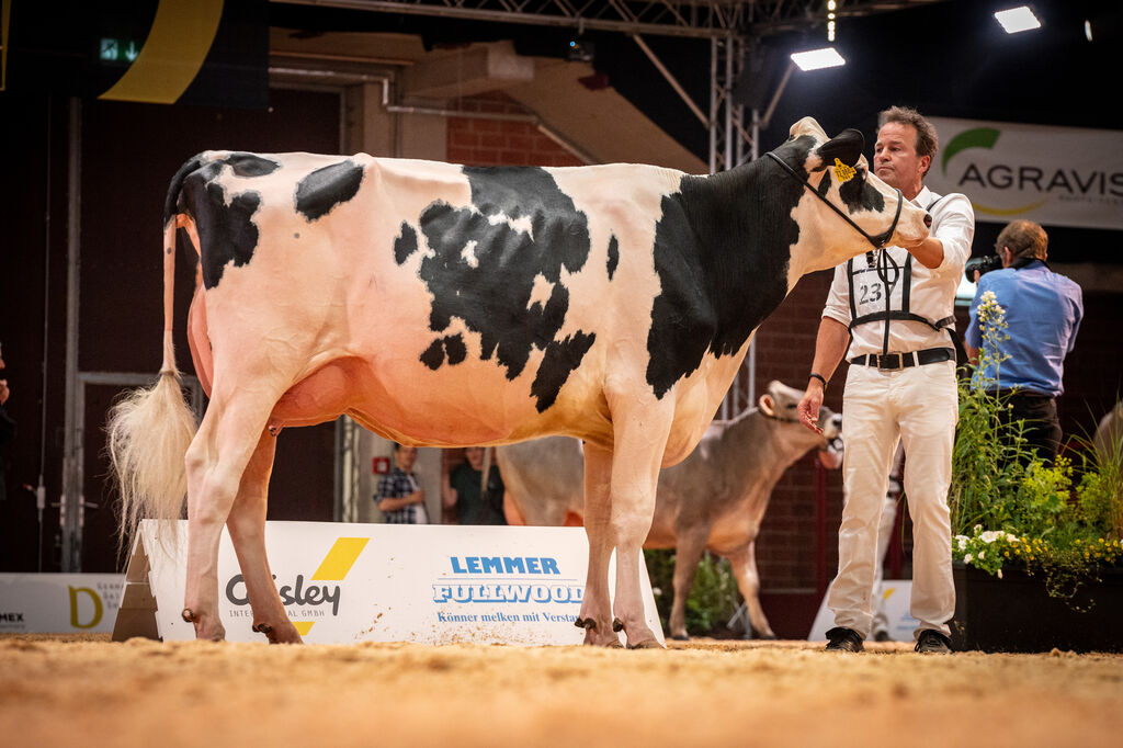 German Dairy Schau 2023 - Rinder Union West