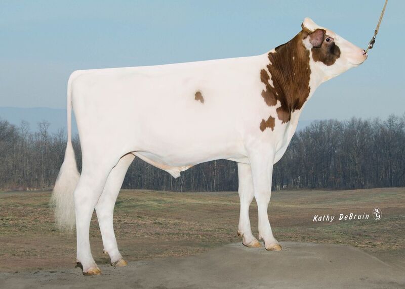 Genomische Zuchtwertschätzung Dezember 2018 - Rinder Union West