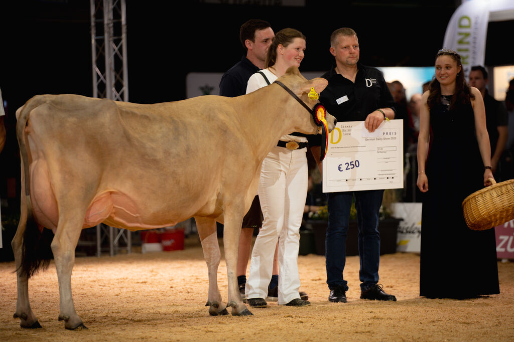 German Dairy Schau 2023 - Rinder Union West