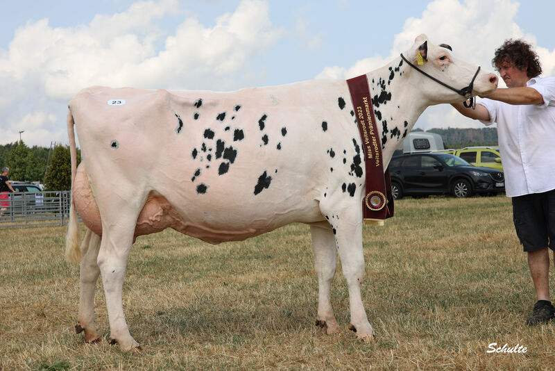 BaS Tess heißt die neue Miss Veitsrodt - Rinder Union West